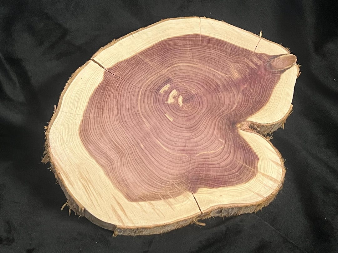Large Unique Cedar Rounds 9”-10” - Eastern Red Cedar Cookies - Etsy