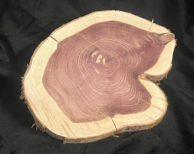 Large Unique Cedar Rounds 8” - Eastern Red Cedar Cookies - Etsy