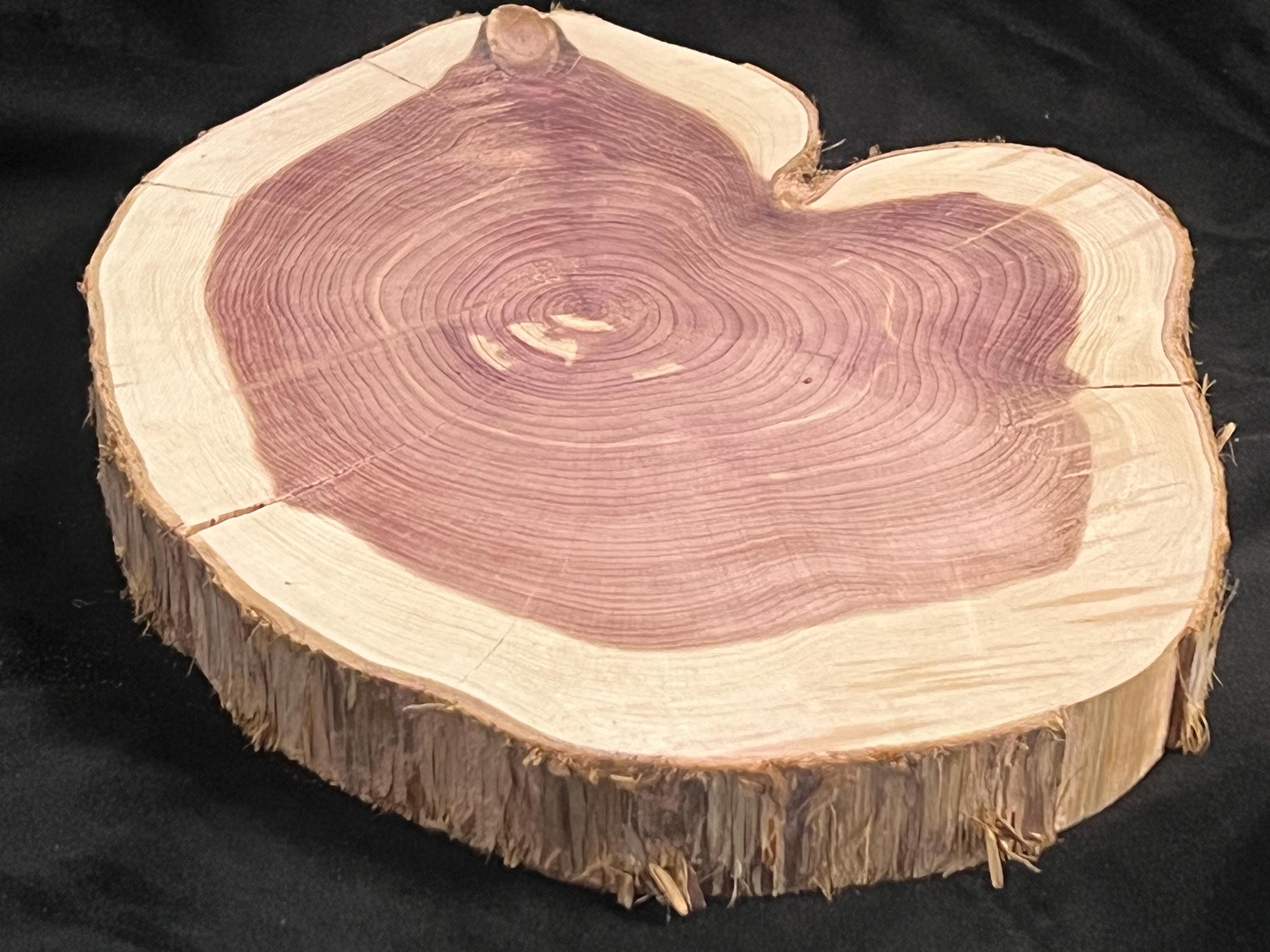 Large Unique Cedar Rounds 9”-10” - Eastern Red Cedar Cookies - Etsy