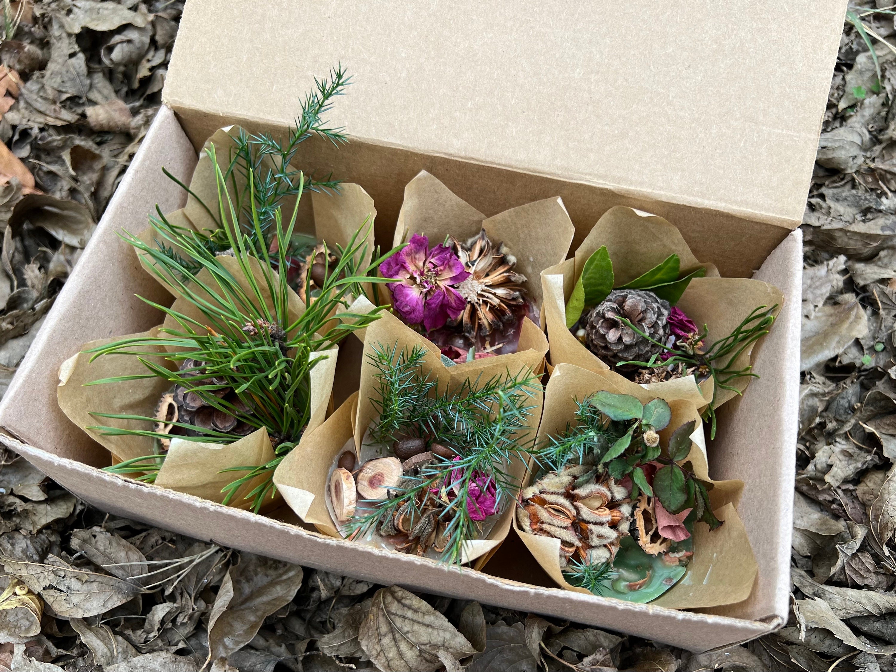 Handmade Cedar Fire Starters With Seasonal Botanicals for Wood Fire ...