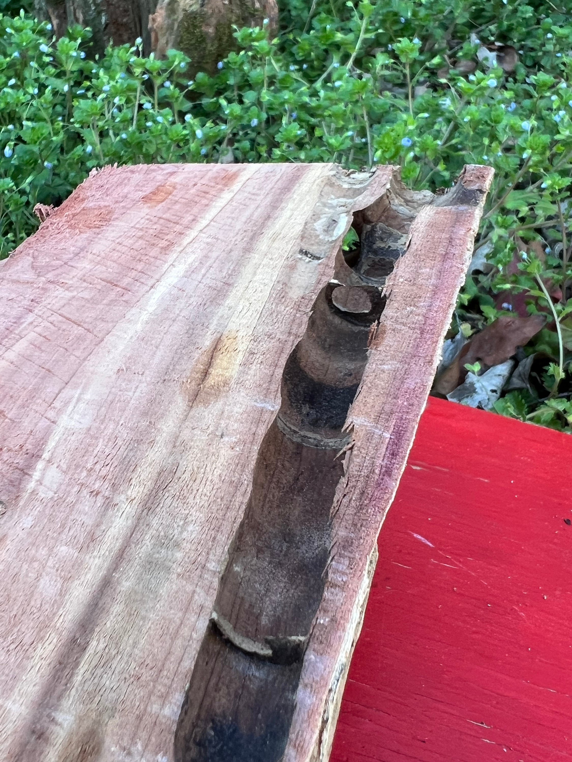 Red Cedar Bark Planks - Aromatic Cedar Decor - Cedar Bark Boards Craft ...