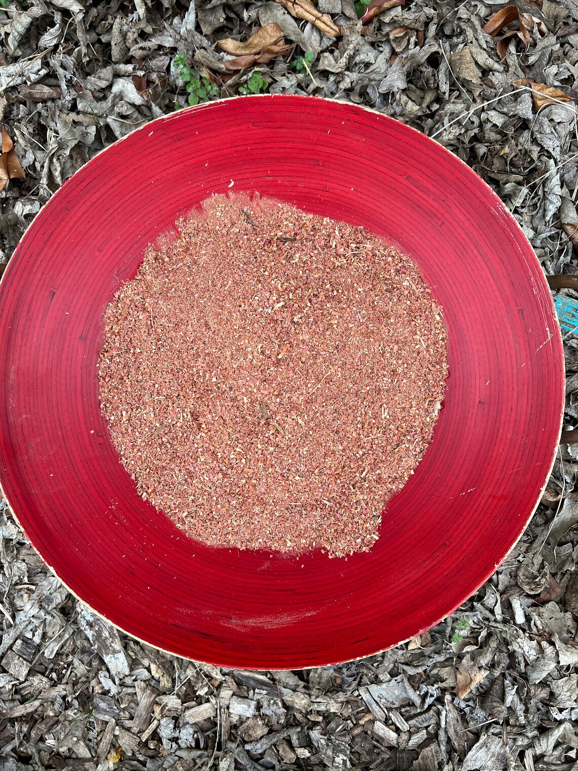 Red Cedar Sawdust - 1/2 Pound Medium Coarse Natural Aromatic Cedar ...