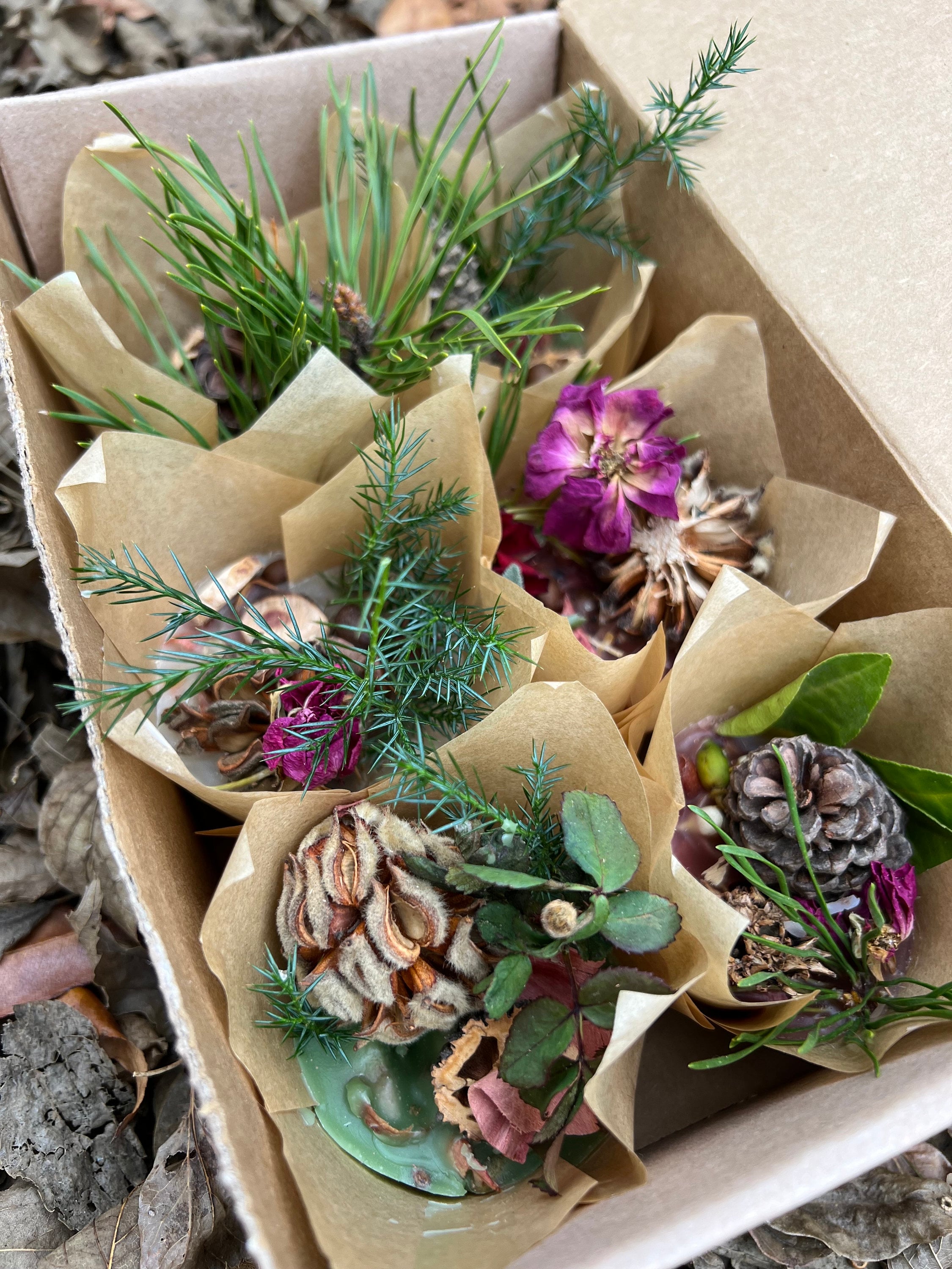Handmade Cedar Fire Starters With Seasonal Botanicals for Wood Fire ...