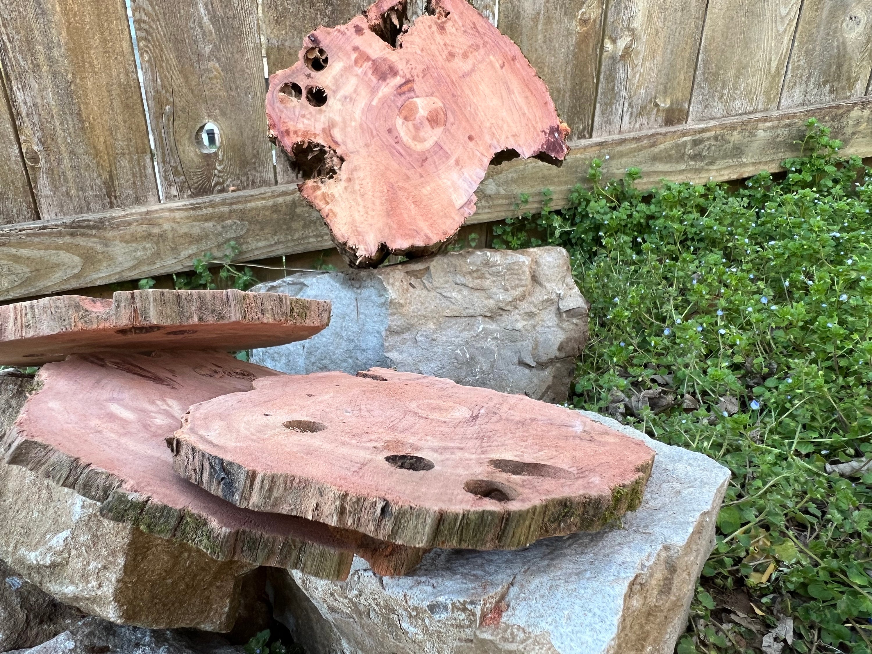 Large Red Cedar Slices - Aromatic Cedar Cookies - Cedar Rounds - Etsy
