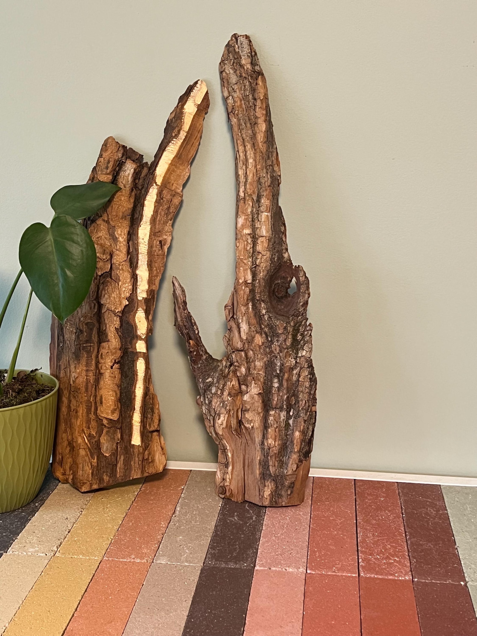 Plant Climbing Stakes - Osage Orange Natural Wood Garden Decor ...