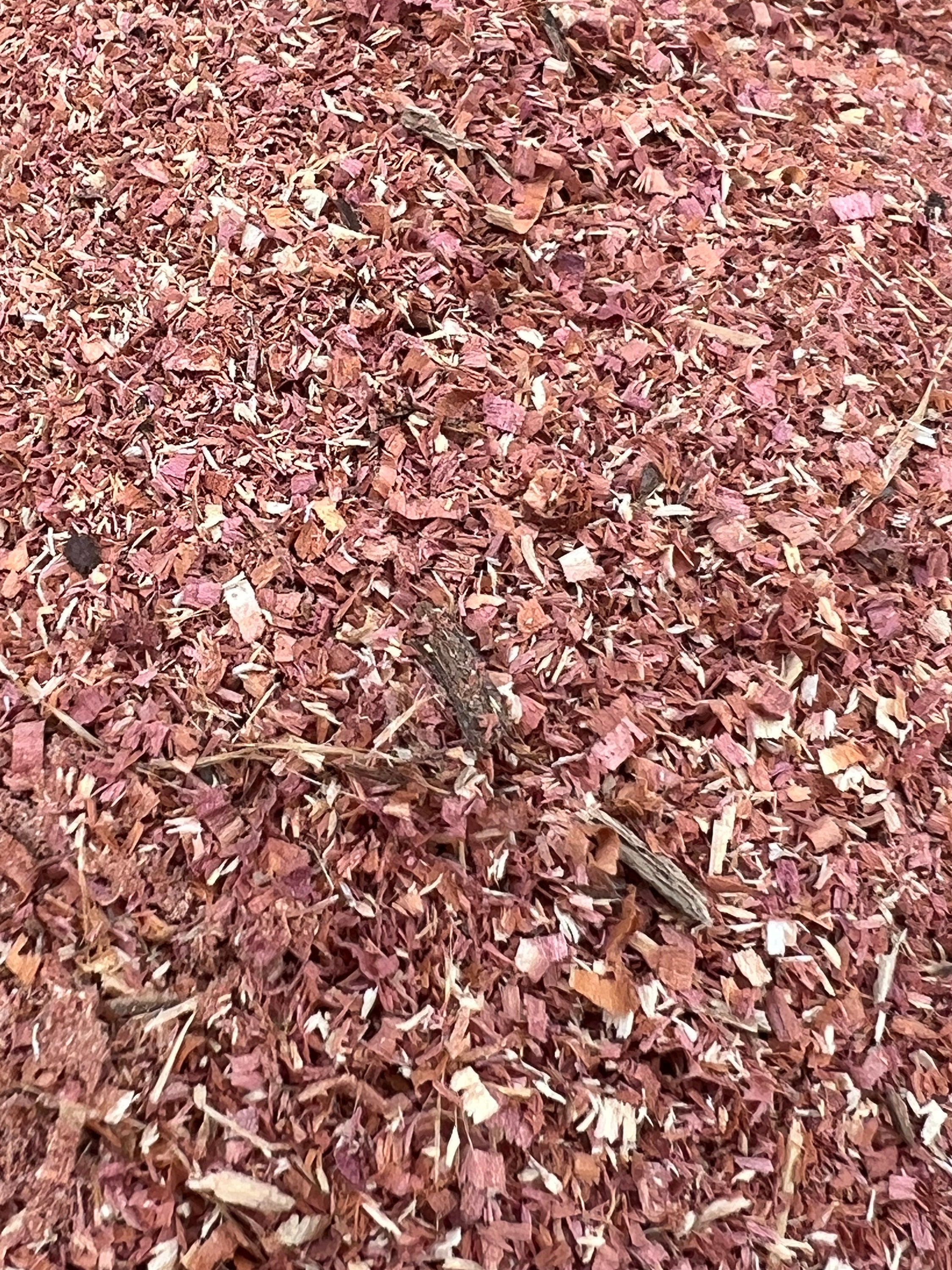 Red Cedar Sawdust - 1/2 Pound Medium Coarse Natural Aromatic Cedar ...