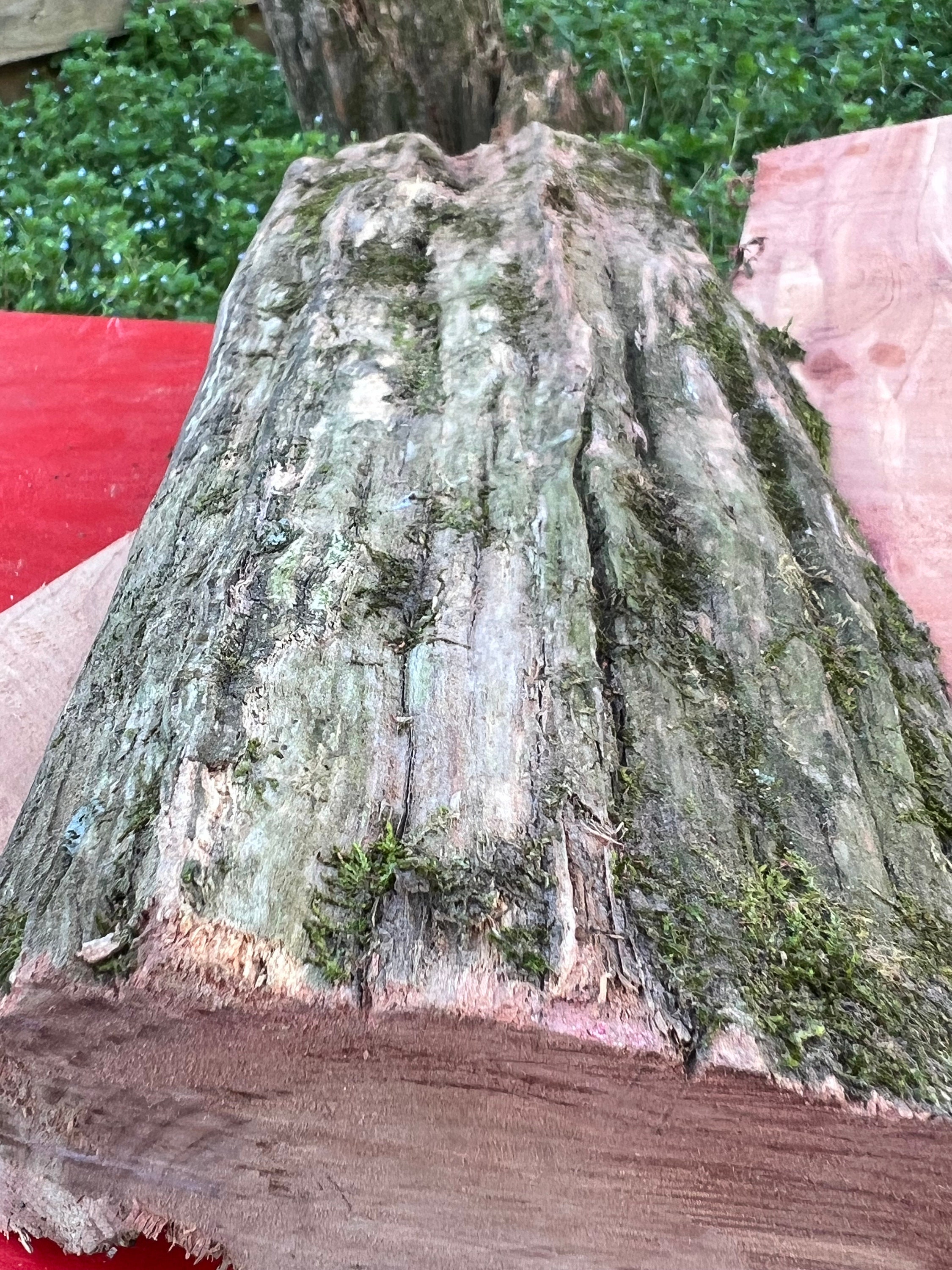 Red Cedar Bark Planks - Aromatic Cedar Decor - Cedar Bark Boards Craft ...