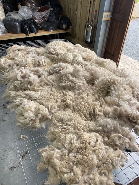 100% Raw Alpaca Fleece - Etsy