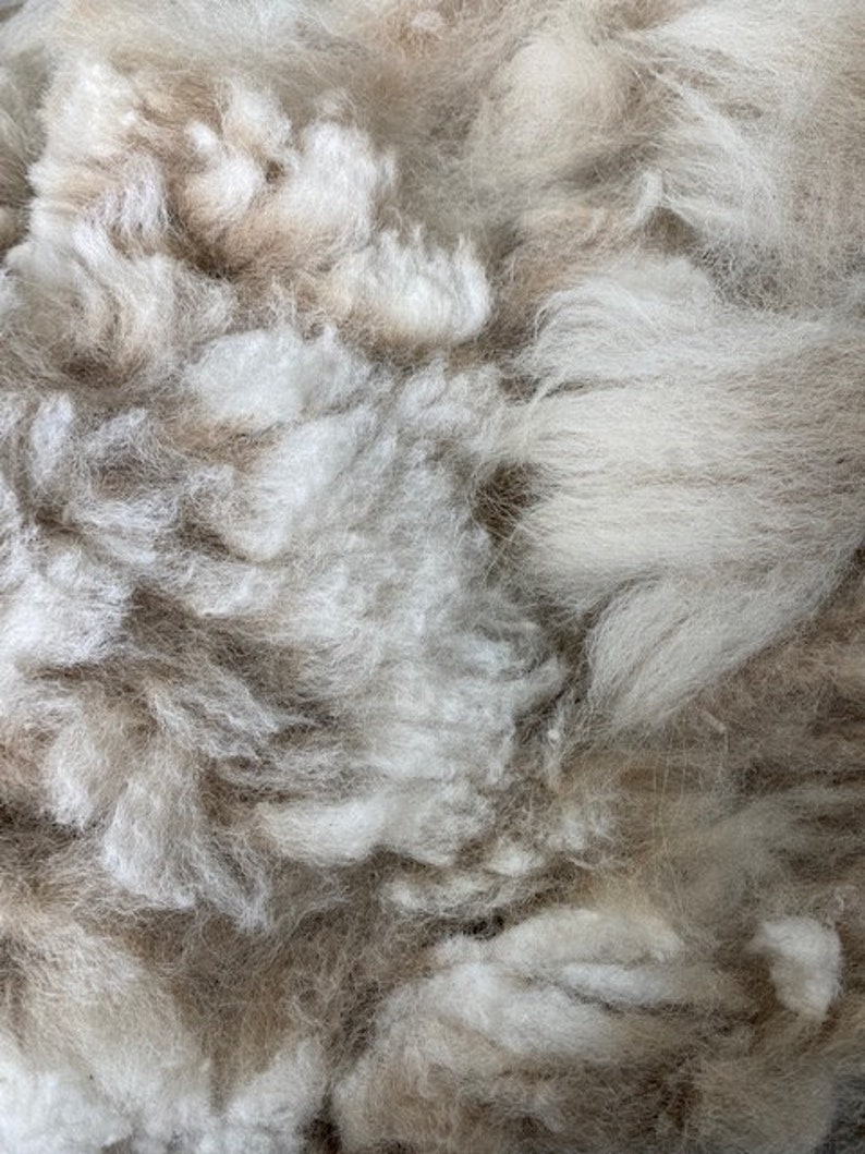 100% Raw Alpaca Fleece - Etsy