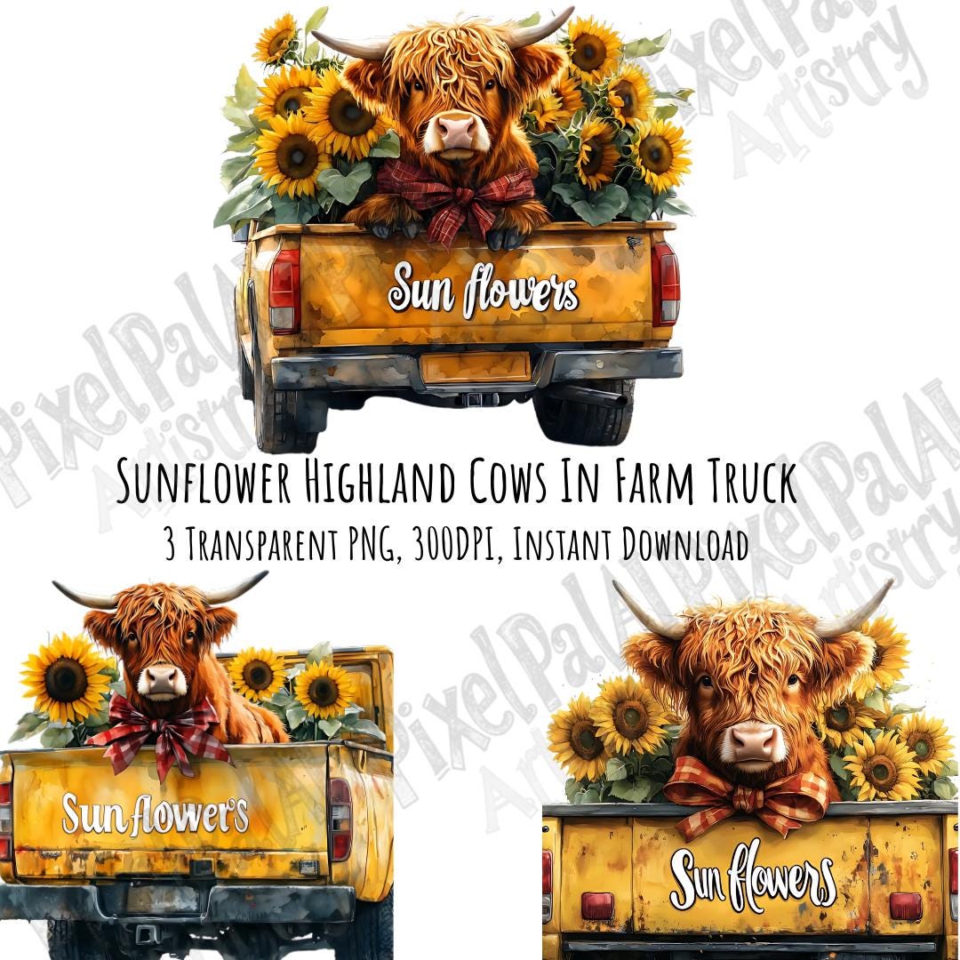 Sunflower Highland Cow PNG, 3 Sunflower Highland Cows Farm Truck ...