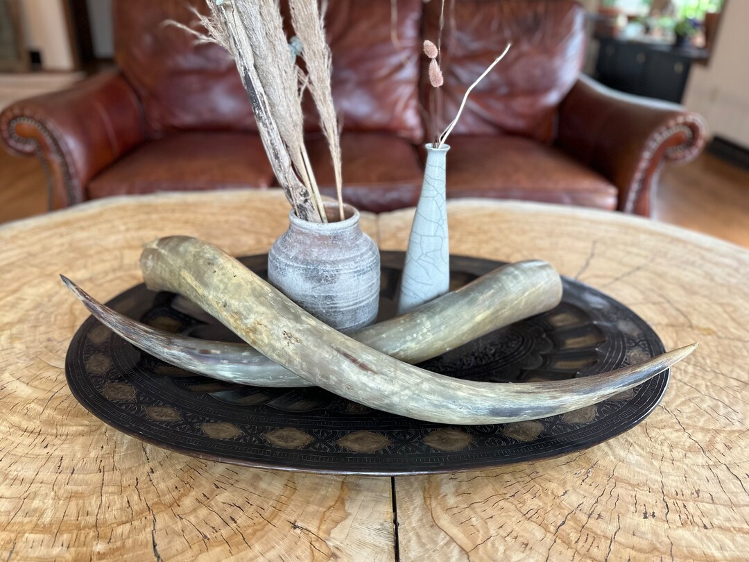 Longhorn Horns Bull Horns Southwest Décor Ranch Farmhouse Primitive ...