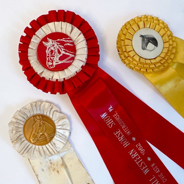 Horse Show Ribbons - Etsy