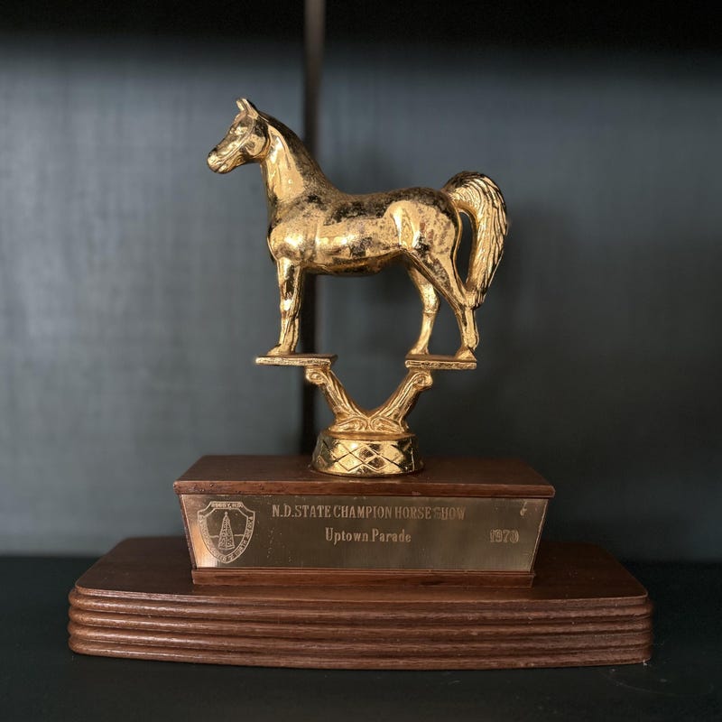 Horse Trophy - Etsy