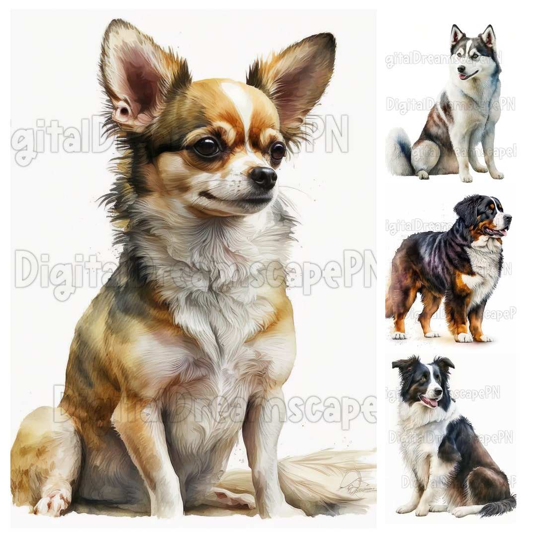 Watercolor Dog Clipart Pack | 21 High Quality Jpgs | Set 2 | DIGITAL ...