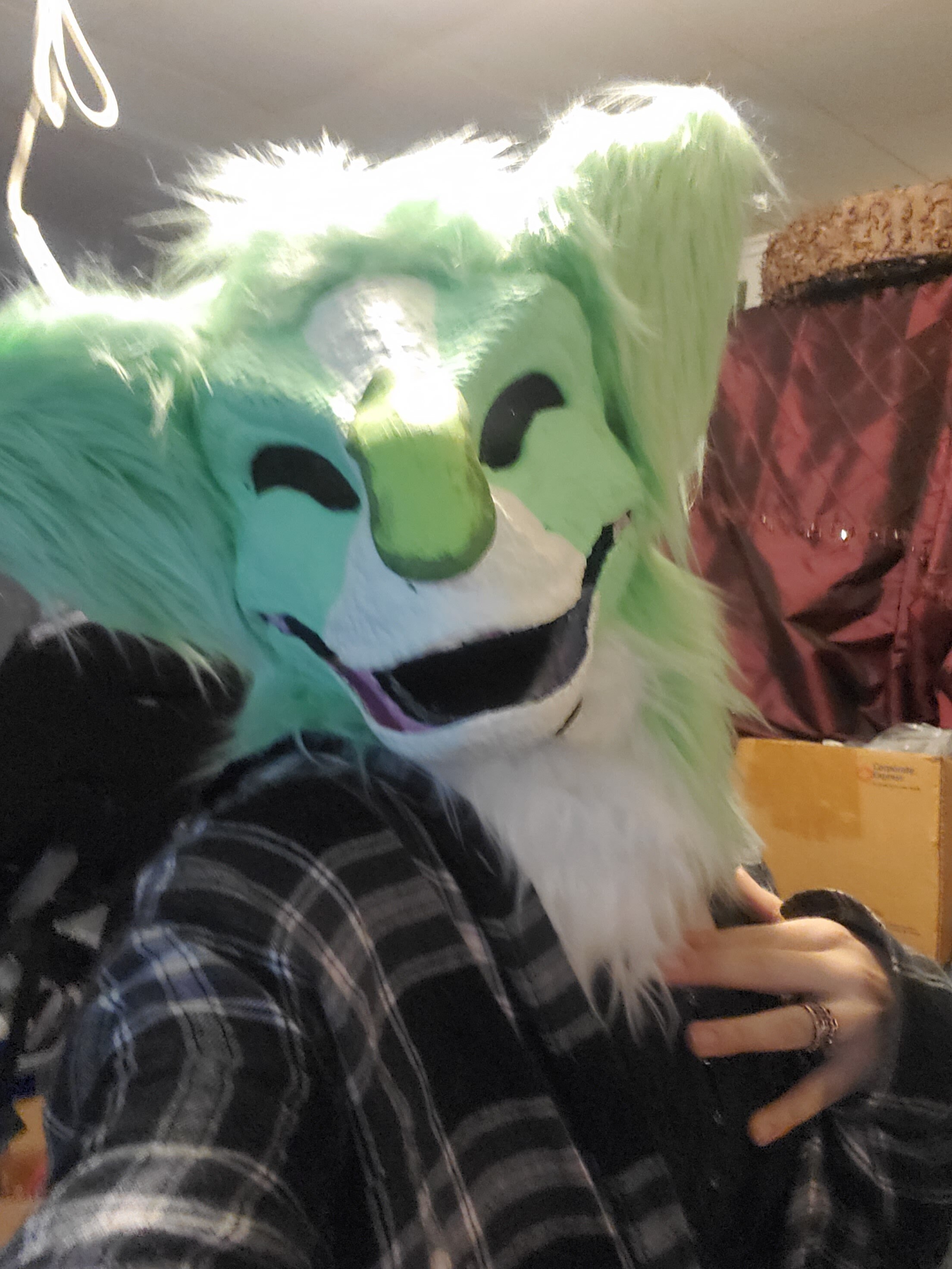 Fully Furred Dino Mask Commissions Etsy