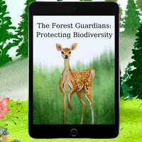 Car Safety Printable Social Story for Kids Stay Safe in the Car Social ...