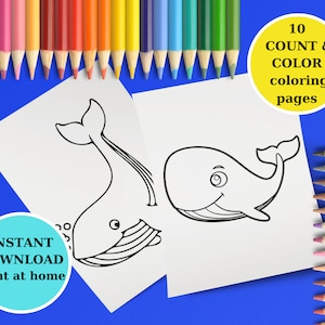 10 Whale Coloring Pages for Kids | Instant Download Coloring Sheets ...