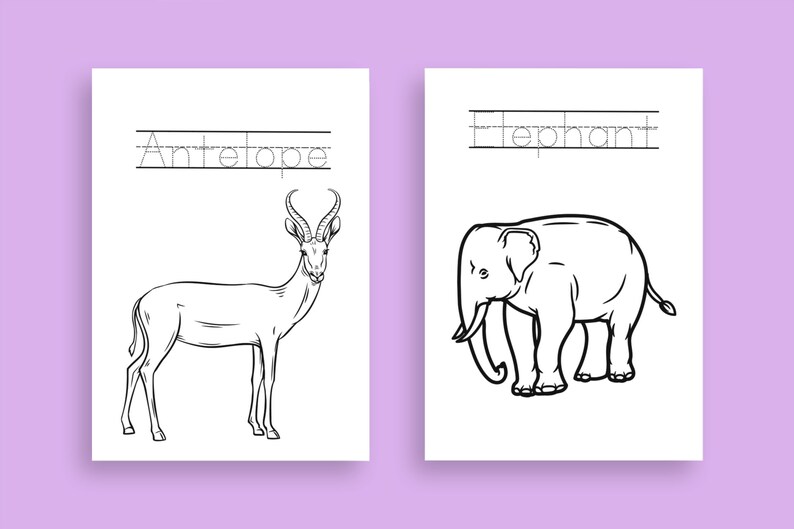 10 Wild Animals Printable Coloring Pages | Lion Bear Giraffe Antelope ...