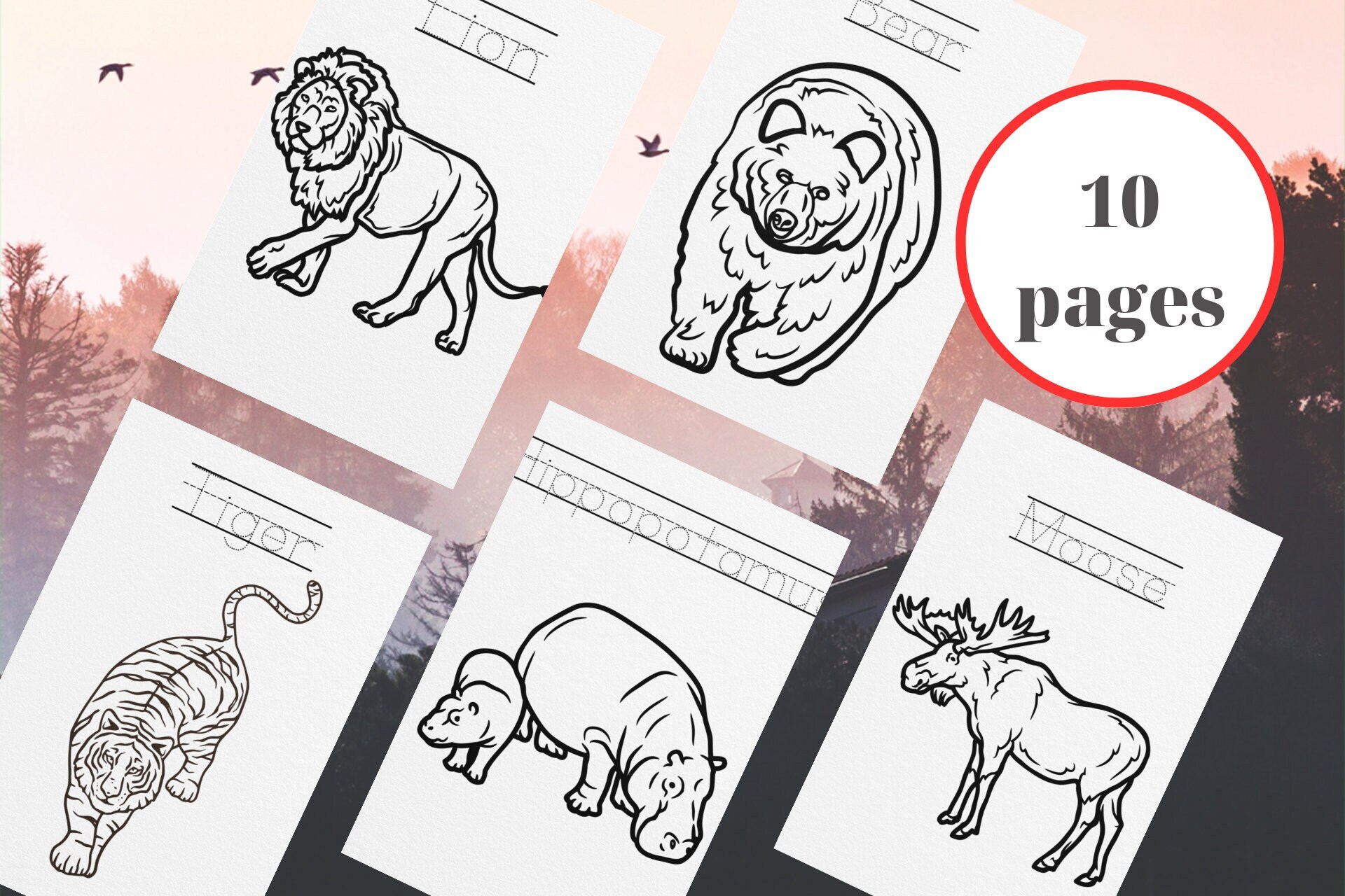 Wild Animals Coloring Pages | Kids Activity Sheets (digital Download ...