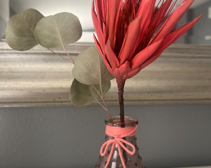 Dried “sugarbush” Repen Protea Flower Painted Pink in Clear Pink Vase ...