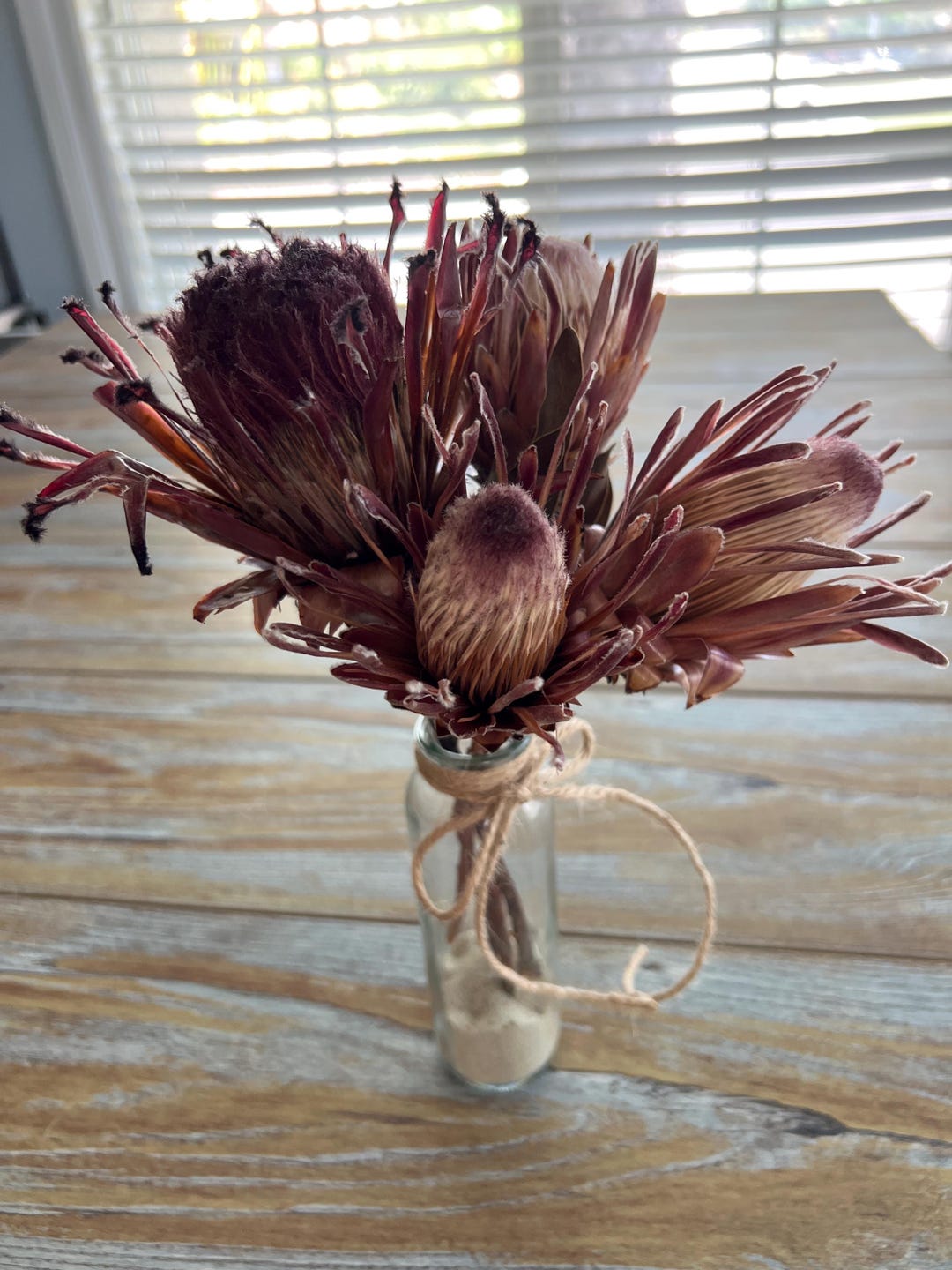 4 Dried Protea Flowers in Clear Glass Vase - Etsy