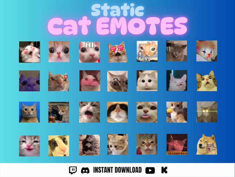 2,000+ Cat Emotes! – Discord Emote Pack | PNG & GIF Formats for Discord ...