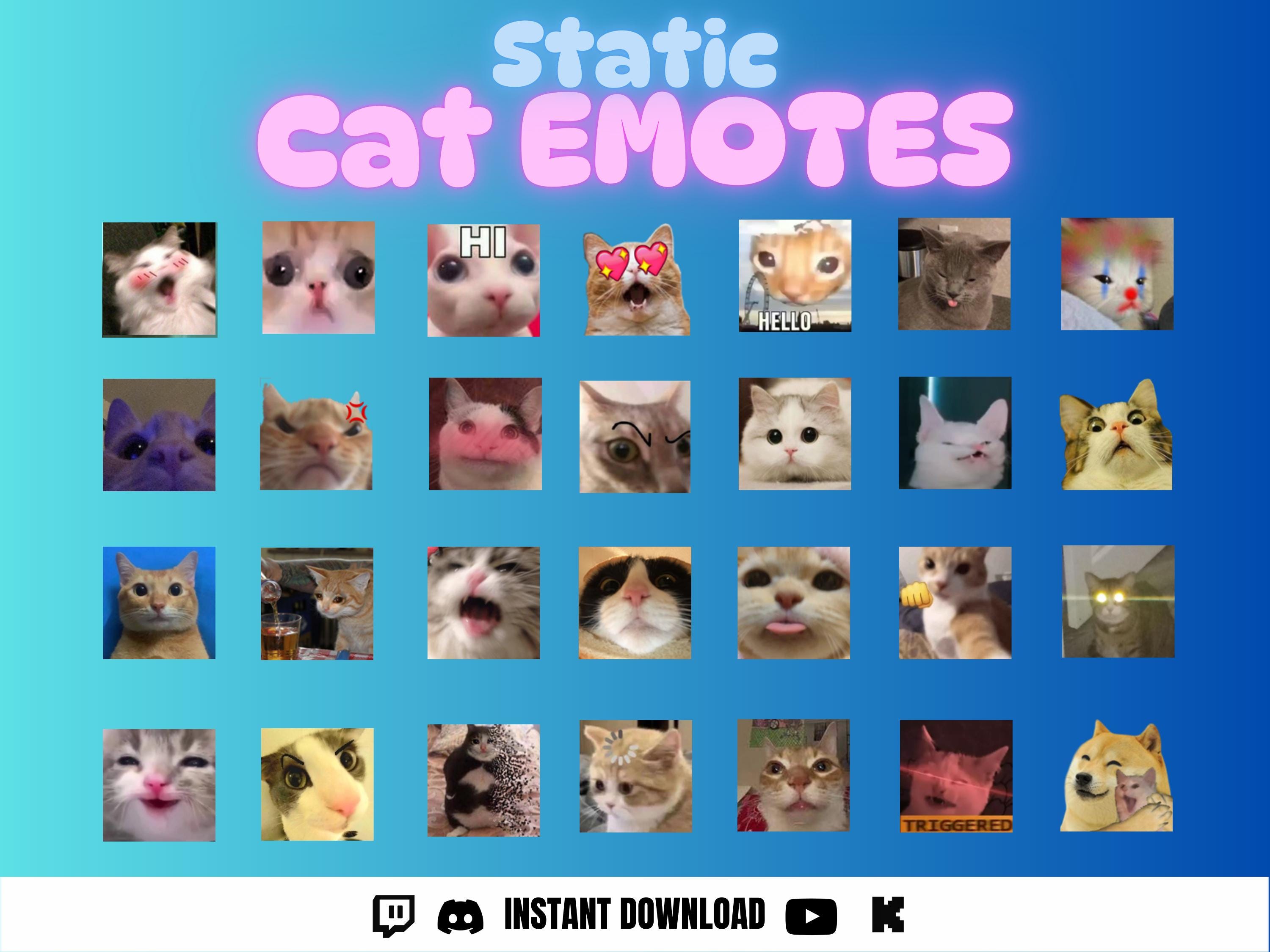 2,000+ Cat Emotes! – Discord Emote Pack | PNG & GIF Formats for Discord ...