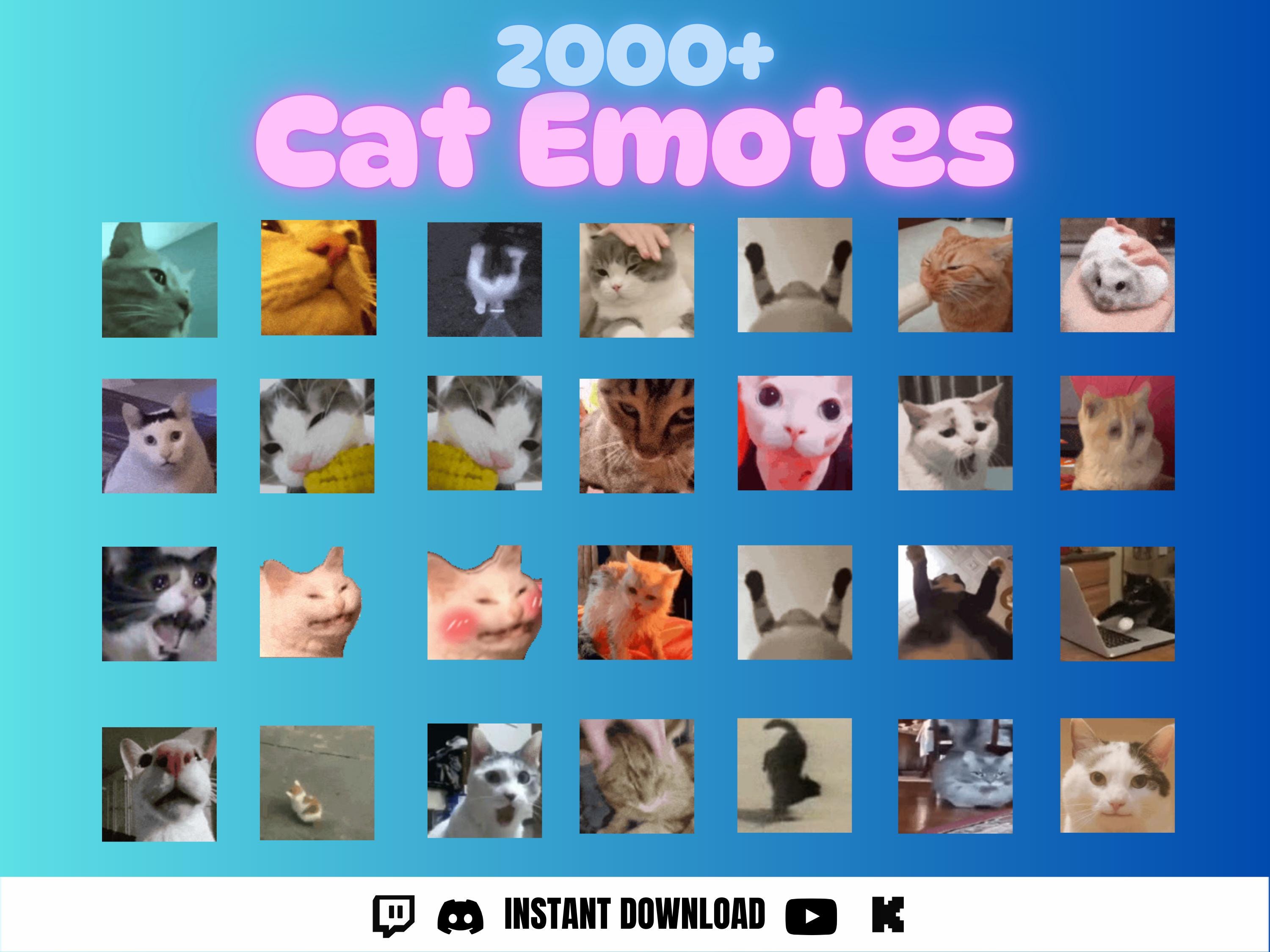 2,000+ Cat Emotes! – Discord Emote Pack | PNG & GIF Formats for Discord ...
