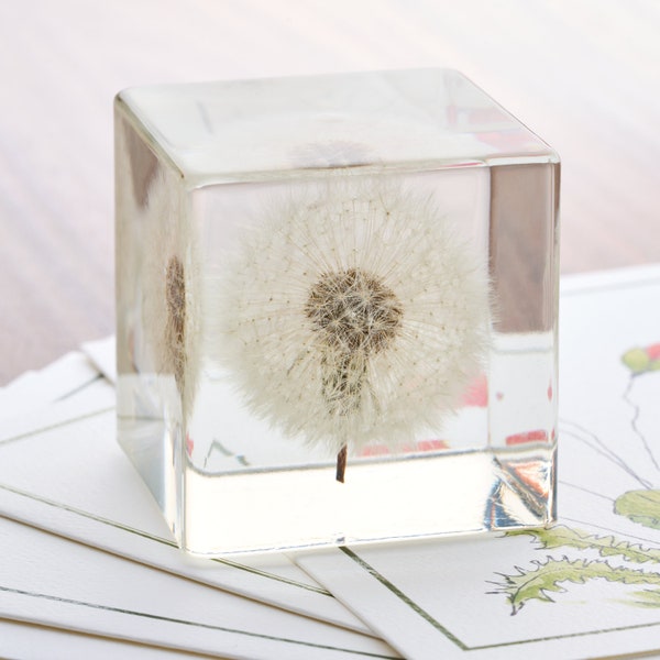 Dandelion Resin - Etsy