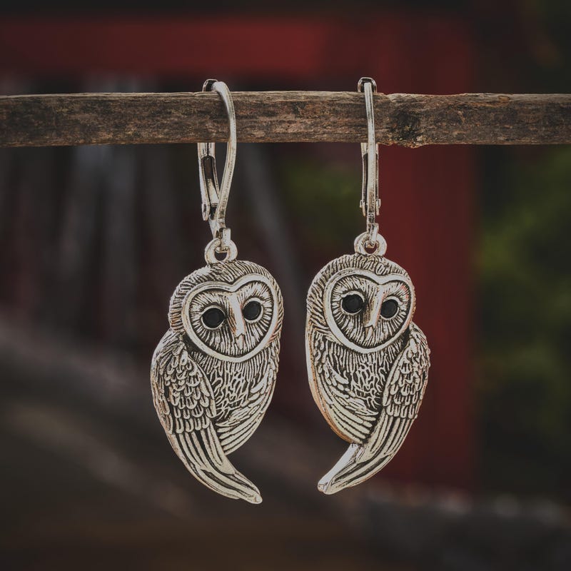 Woman With Barn Owl - Etsy