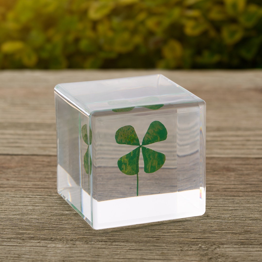 Dried Four-leaf Clover Paperweight, Handmade Resin Art, Botanical Decor ...