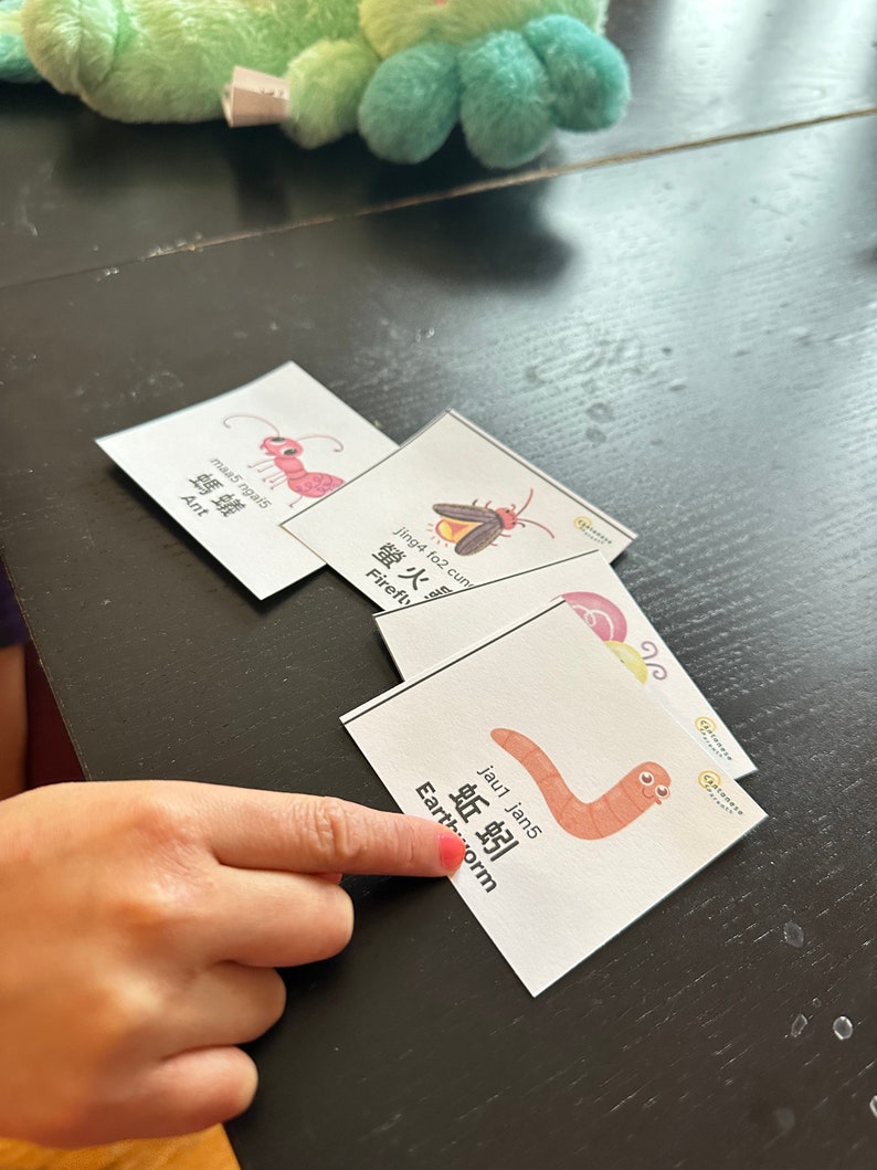 Vocabulary: Animals and Insects. Cantonese Traditional Chinese Posters ...