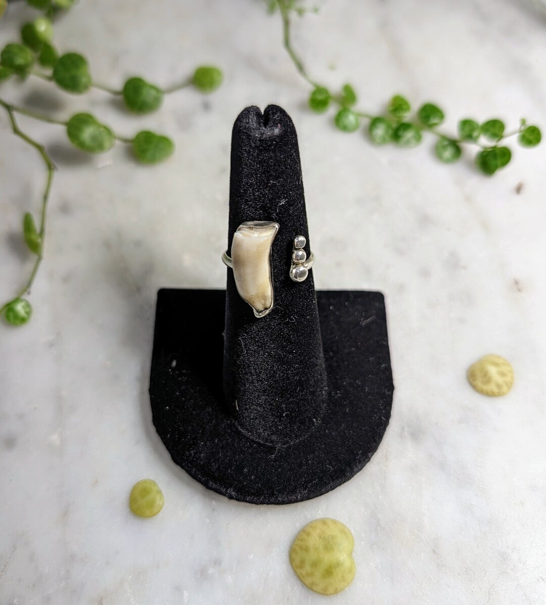 Beaver Molar Tooth Handmade Sterling Silver Open Adjustable Ring - Etsy