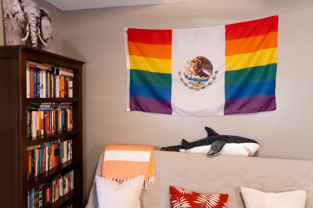 Mexican Pride Flag LGBTQ Indoor Outdoor Waterproof Mexico Flag Intersex ...