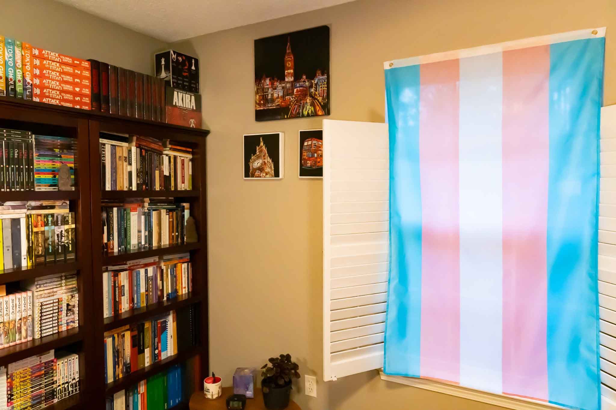 Transgender Pride Flag LGBTQ 3'x5' Indoor Outdoor Waterproof Polyester ...