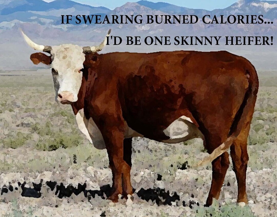 Skinny Heifer T-shirt - Etsy