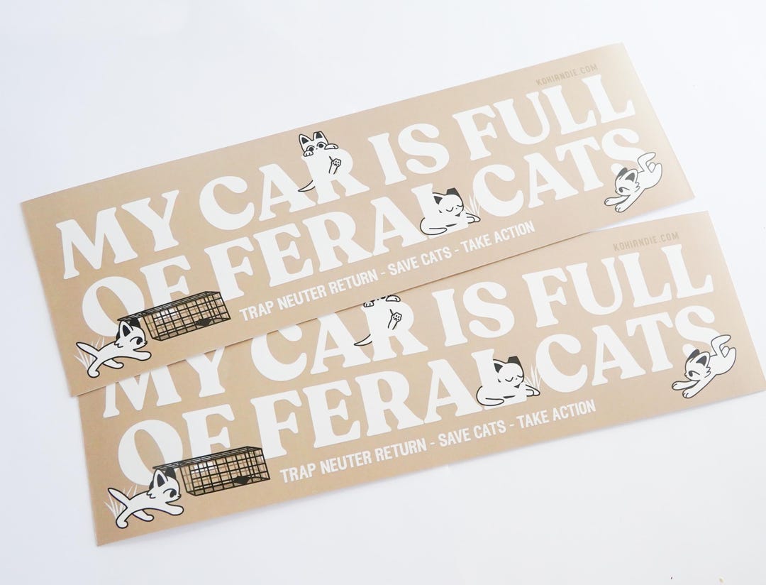 My Car is Full of Feral Cats TNR Bumper Sticker - Etsy