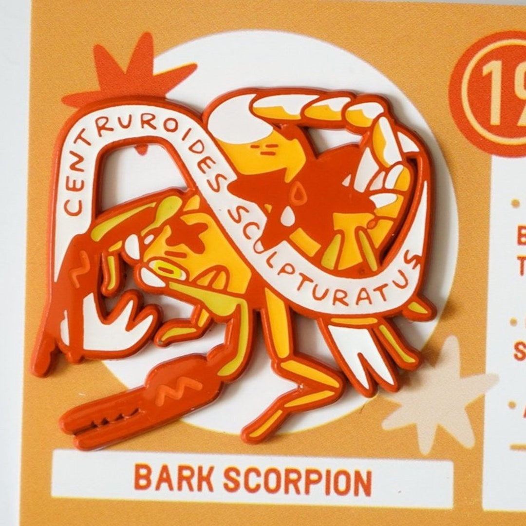 Bark Scorpion 2" Enamel Pin - Etsy