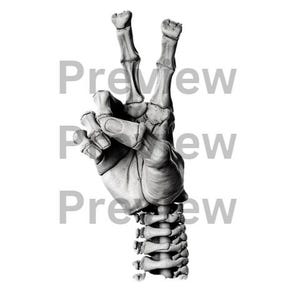 Skeleton Hand Peace Sign Digital Download No Background PNG - Etsy