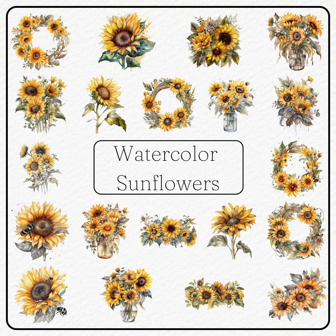 Watercolor Sunflowers Clipart - 20 PNG Images Bundle - 300dpi - Boho ...