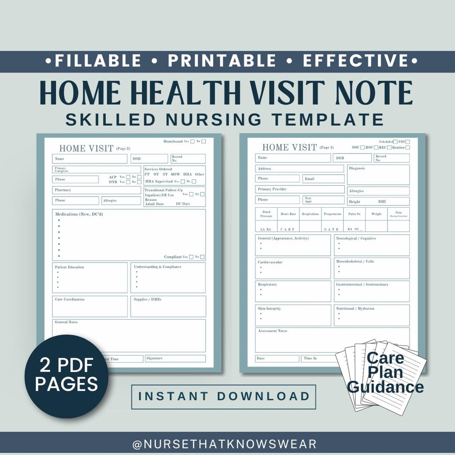 Home Health Nurse Visit Note, Skilled Nursing Visits Planner, Home Care ...