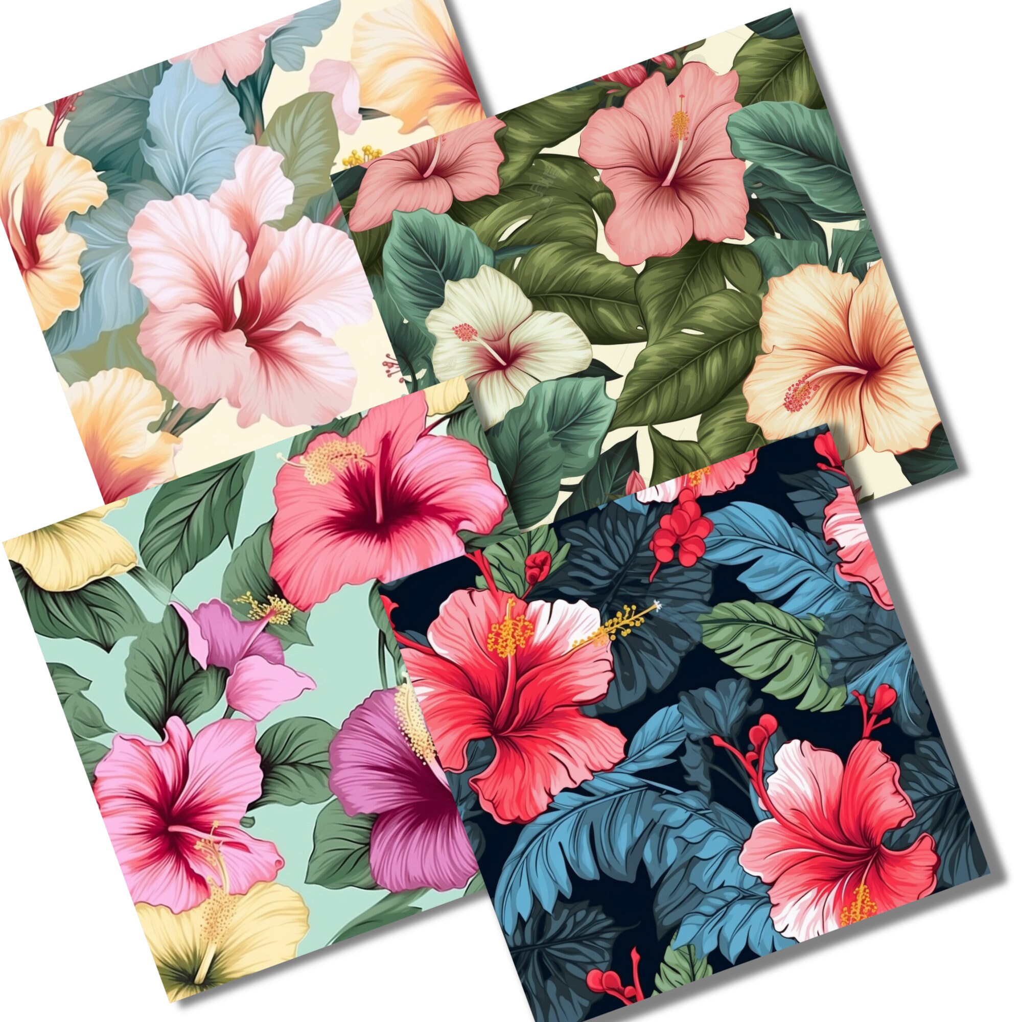 Hibiscus, Malaysian National Flower, Asian Flower, Rose Mallow, Shoe ...