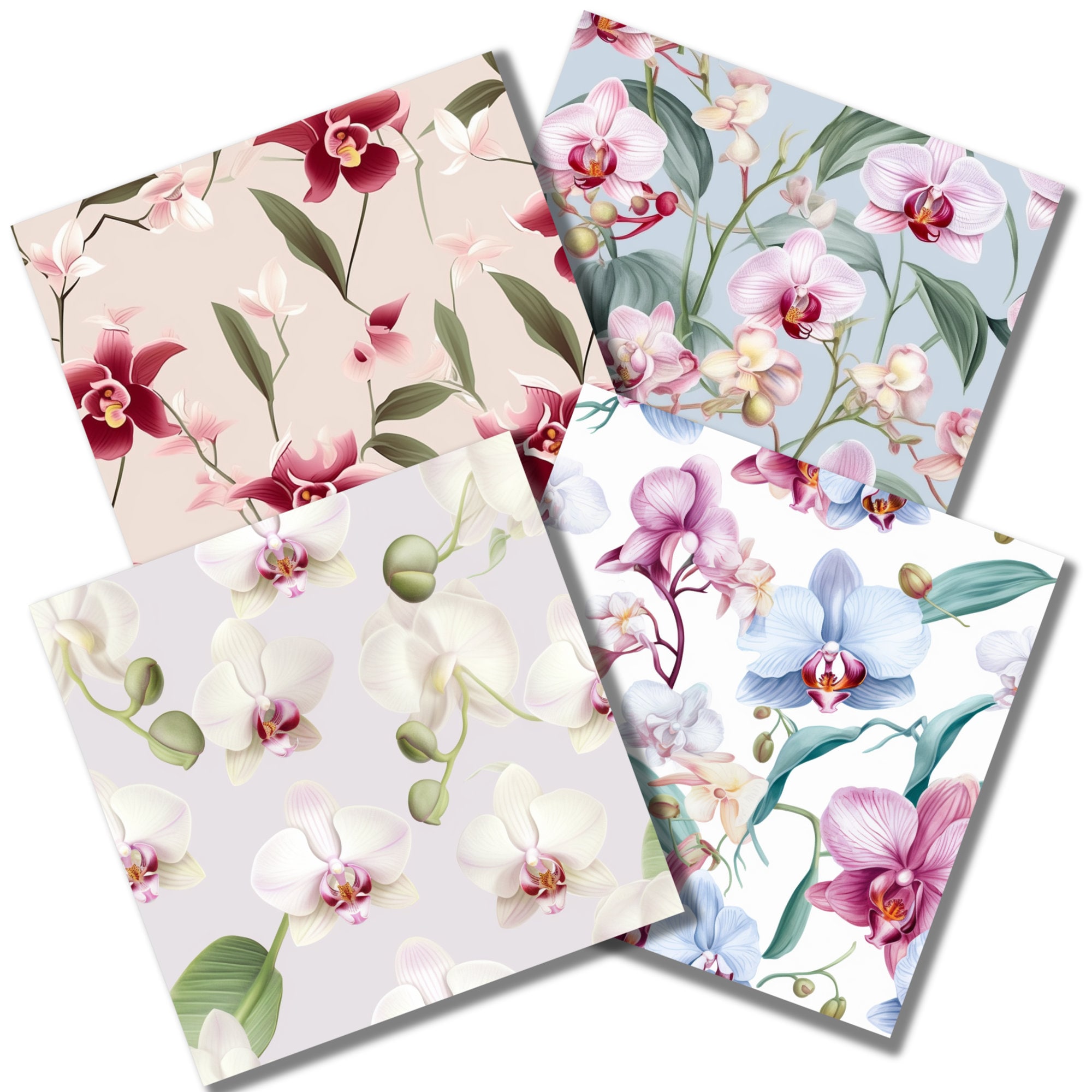 Anggrek Bulan, Indonesian National Flower, Moon Orchid, Asian Flower ...