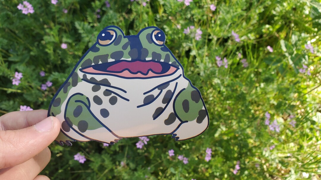 Cute Pixie Frog Sticker - Etsy