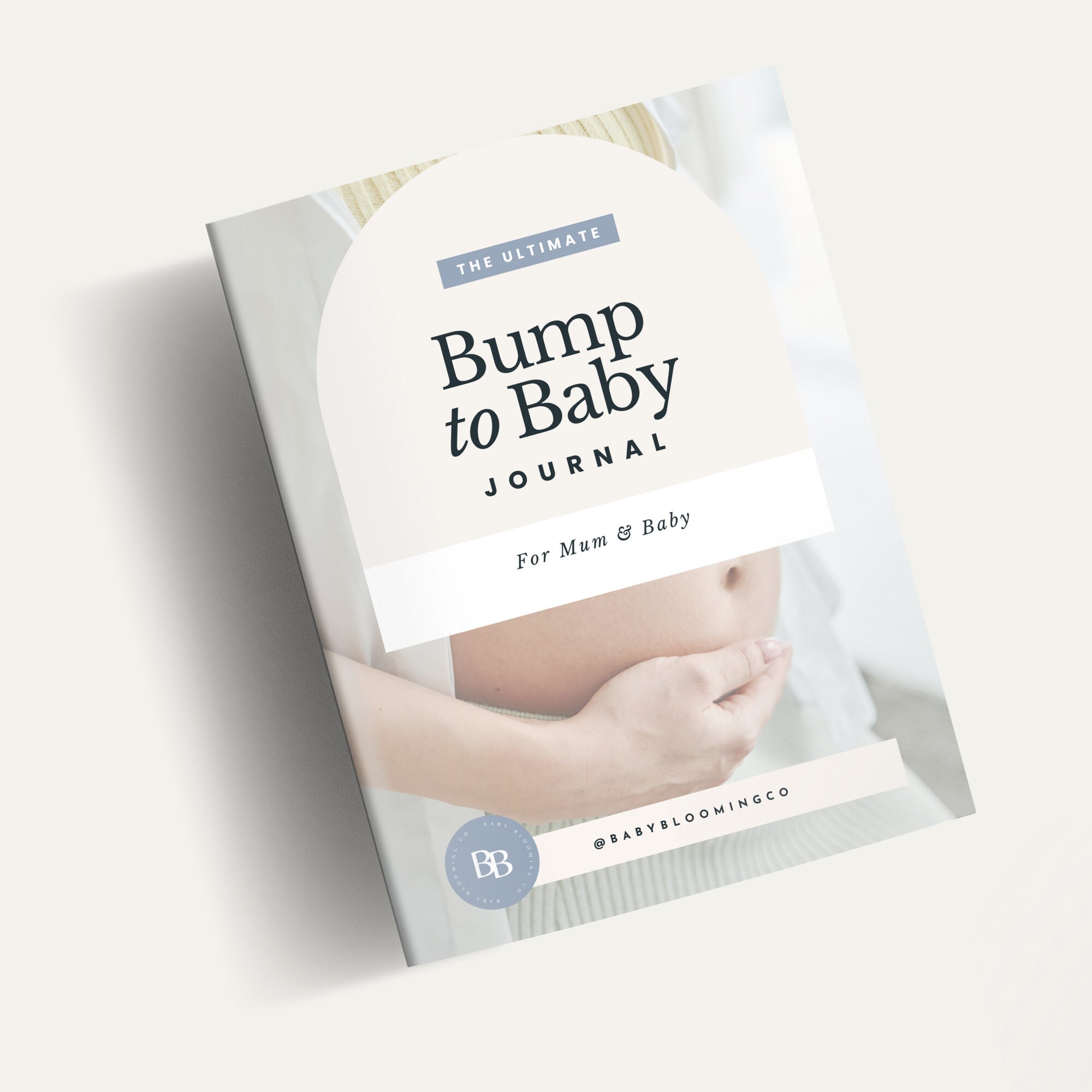 Pregnancy Planner for New Mums Bump to Baby Printable - Etsy Australia