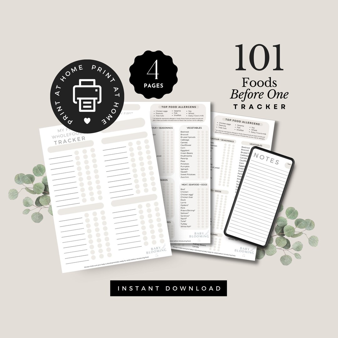 101 Before One Baby Food Tracker Solids Tracker First - Etsy