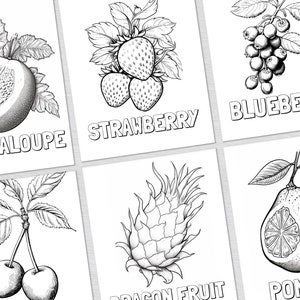 Coloring Birthday Bundle: Printable Coloring Pages of Fruits, Plants ...