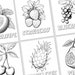 Coloring Birthday Bundle: Printable Coloring Pages of Fruits, Plants ...