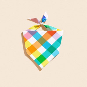 Gingham Rainbow Pride Best Friends Bundle - Etsy