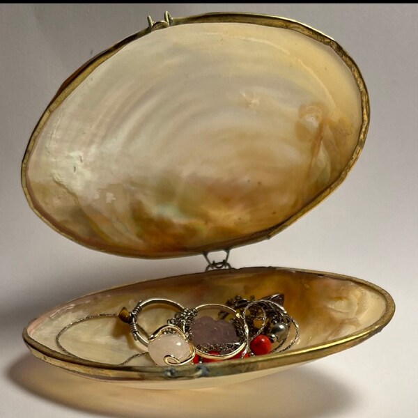 Seashell Jewelry Box - Etsy